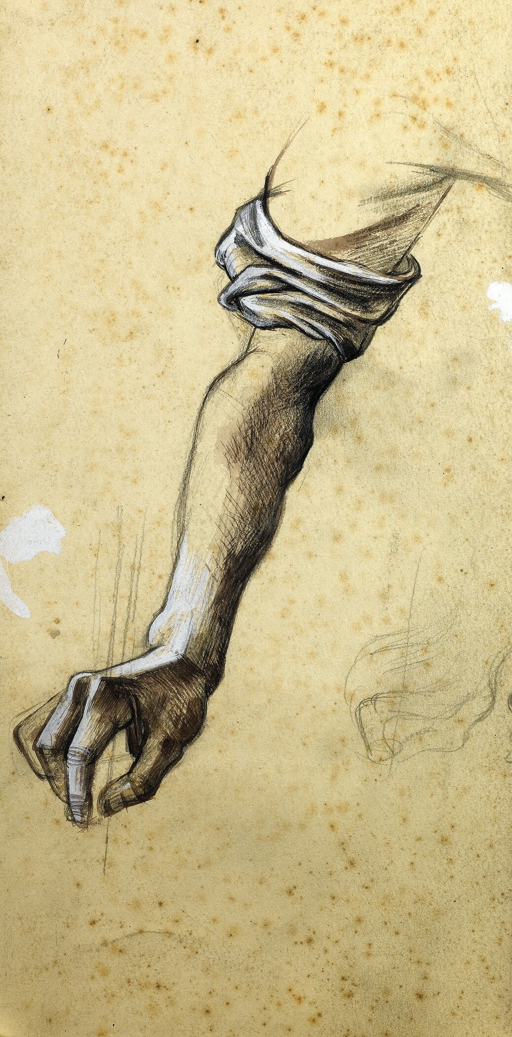 Study of an arm, BSR period - Modern British Art Gallery