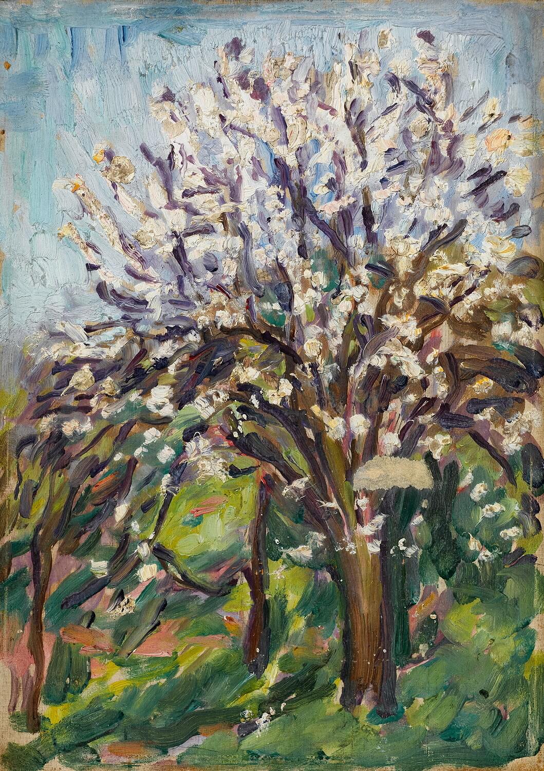 Almond Blossom on a sloping verge, South of France, circa 1910 - Modern ...