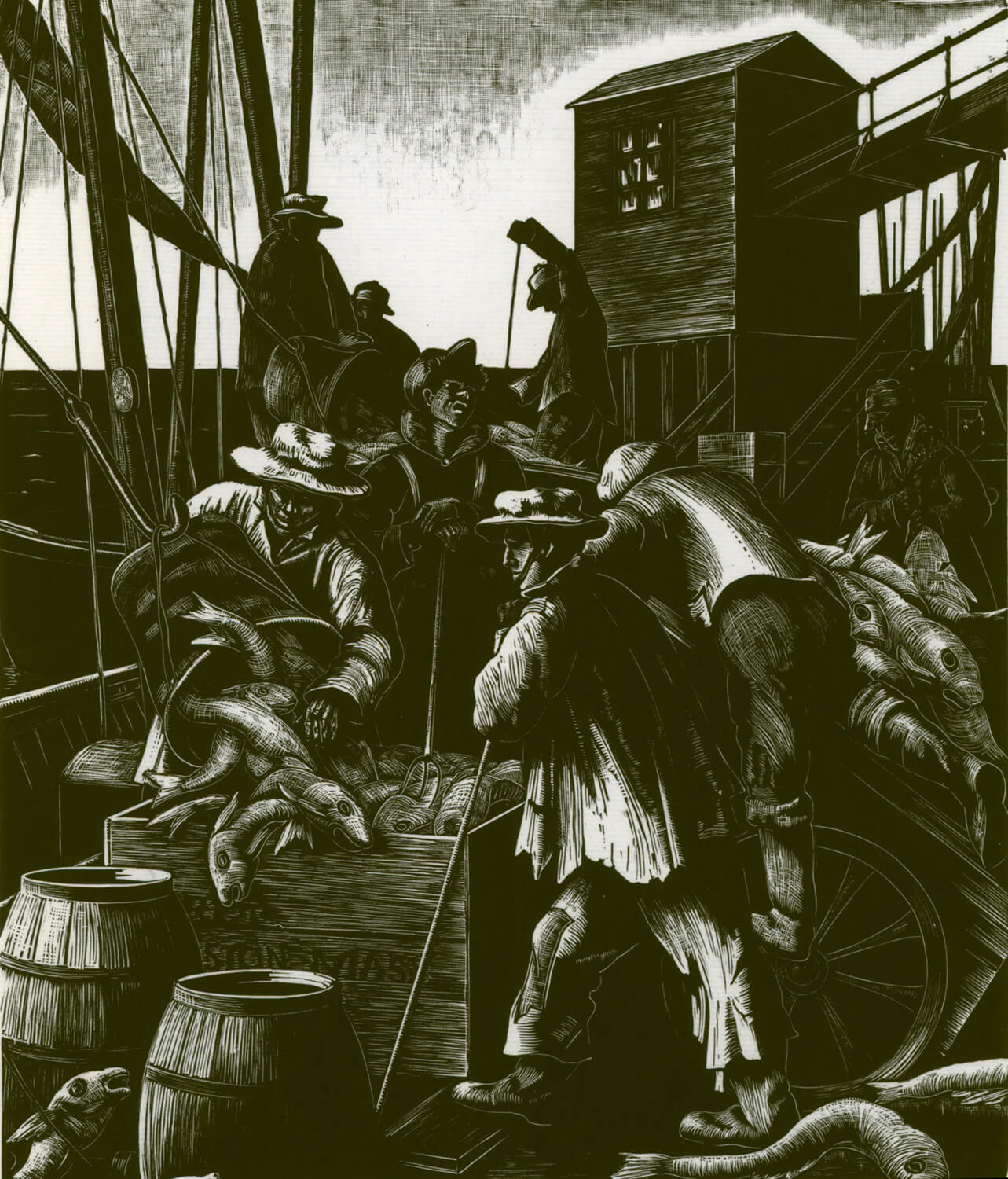 Boston Cod (BPL143) - Modern British Art Gallery