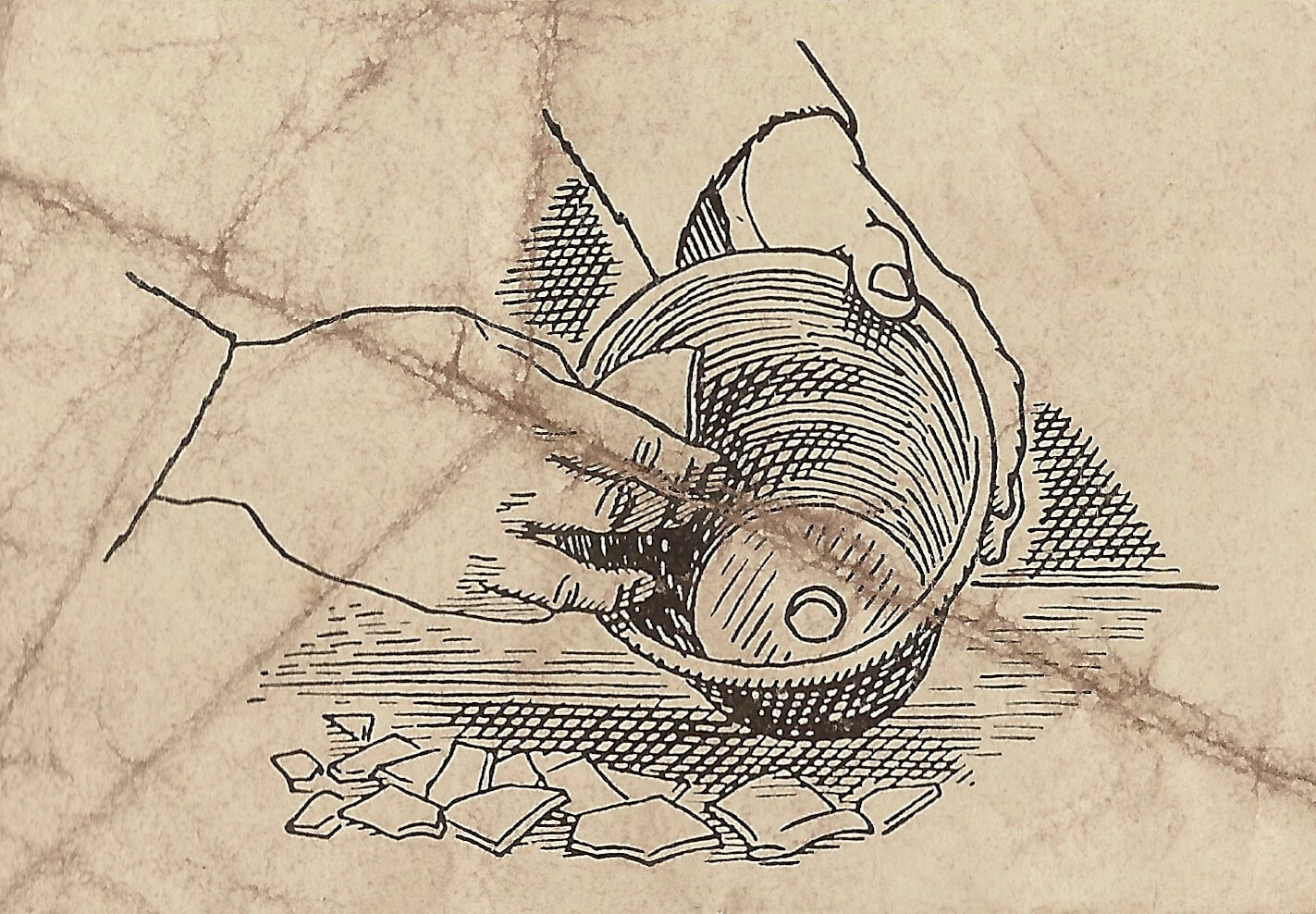 Iris japonica Ledger's Variety, design for page 113, Gardeners Choice ...