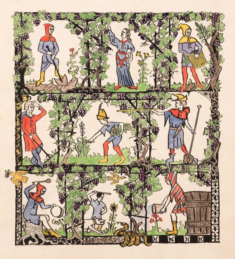 Abstract floral forms, circa 1960 - Modern British Art Gallery