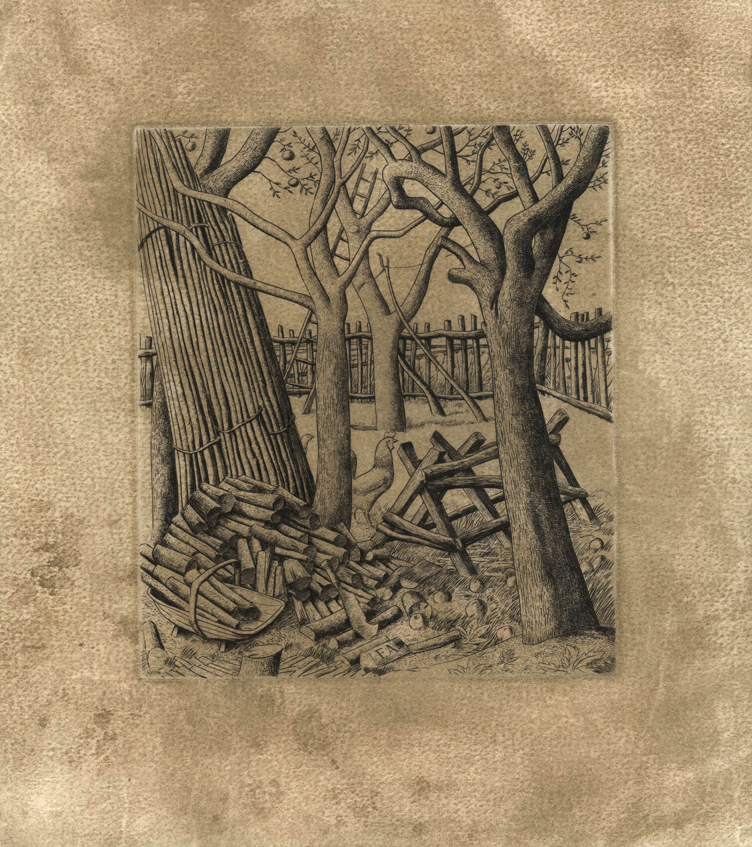 Apple orchard with chopped wood and chickens, circa 1935 - Modern ...