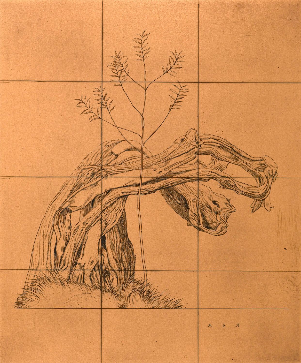 Tree Study Eton - Modern British Art Gallery