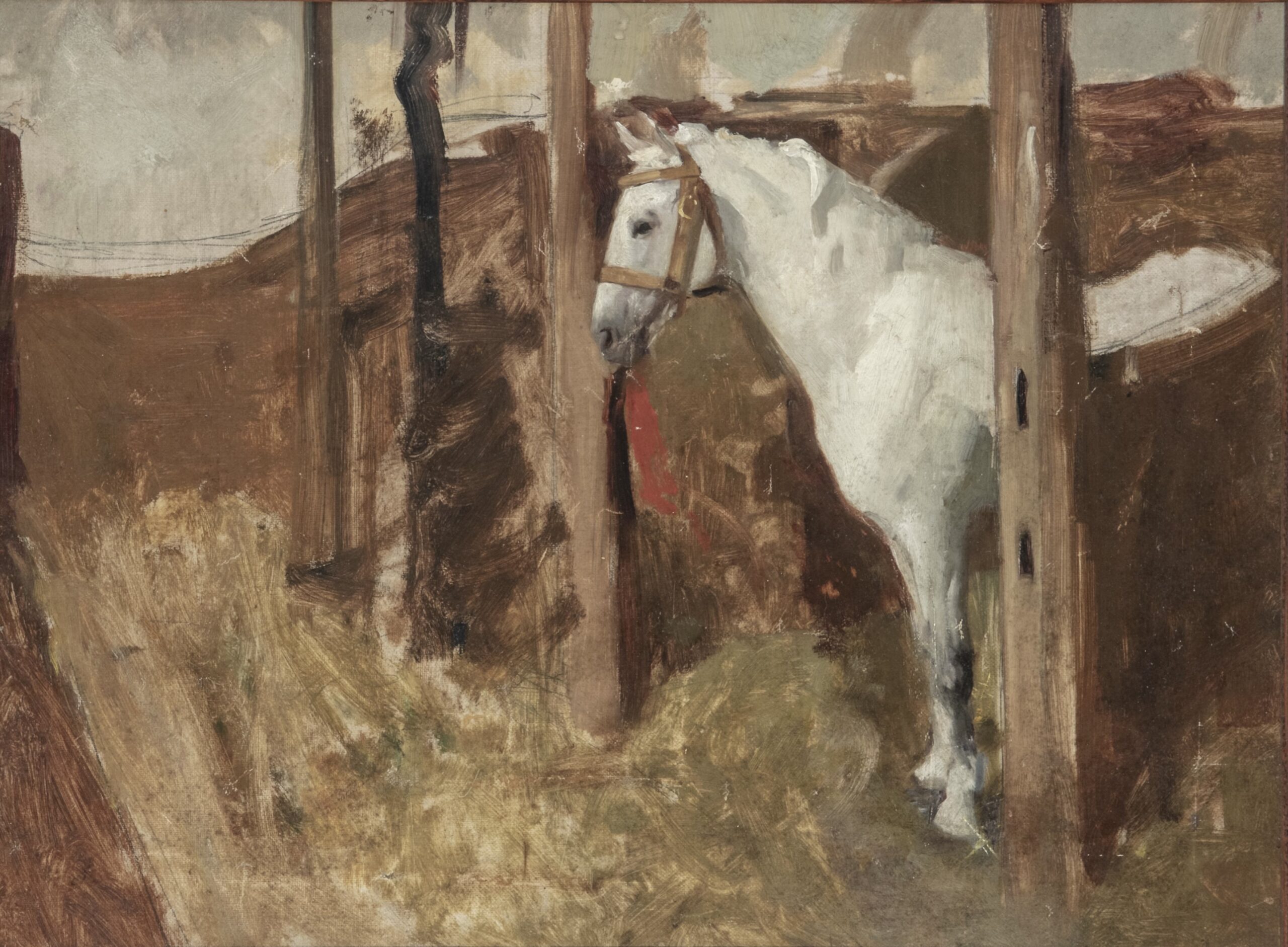 Horse in a Stable - Modern British Art Gallery