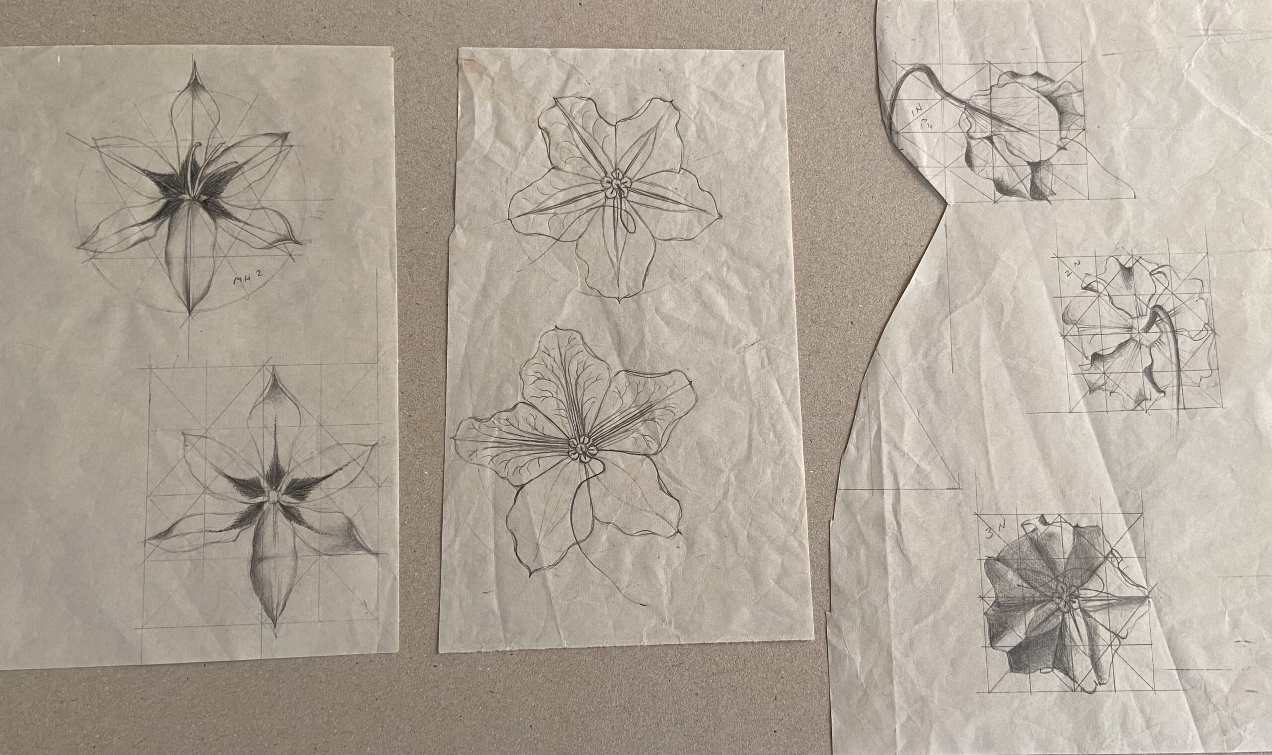 3 studies of flowers - Modern British Art Gallery
