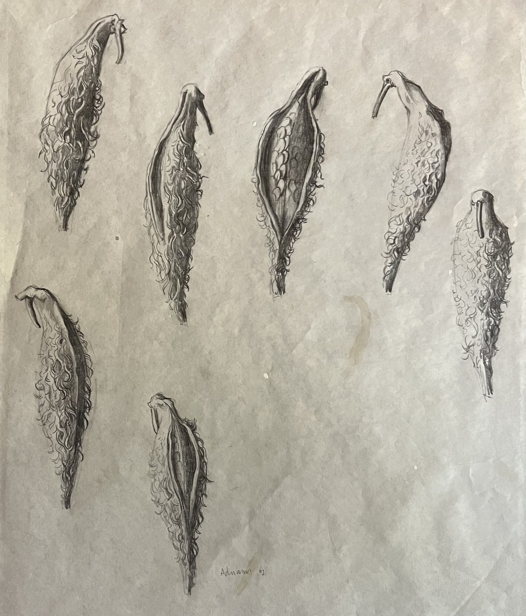 Seven Colloquy (Parrots), 1967 - Modern British Art Gallery