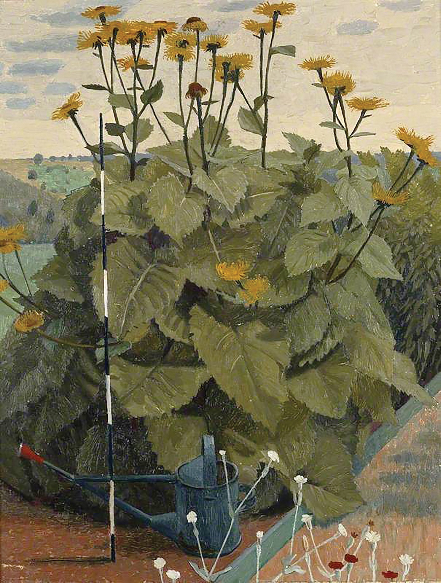 Charles Mahoney - Sunflowers and Oxeye Daisies - Modern British Art Gallery